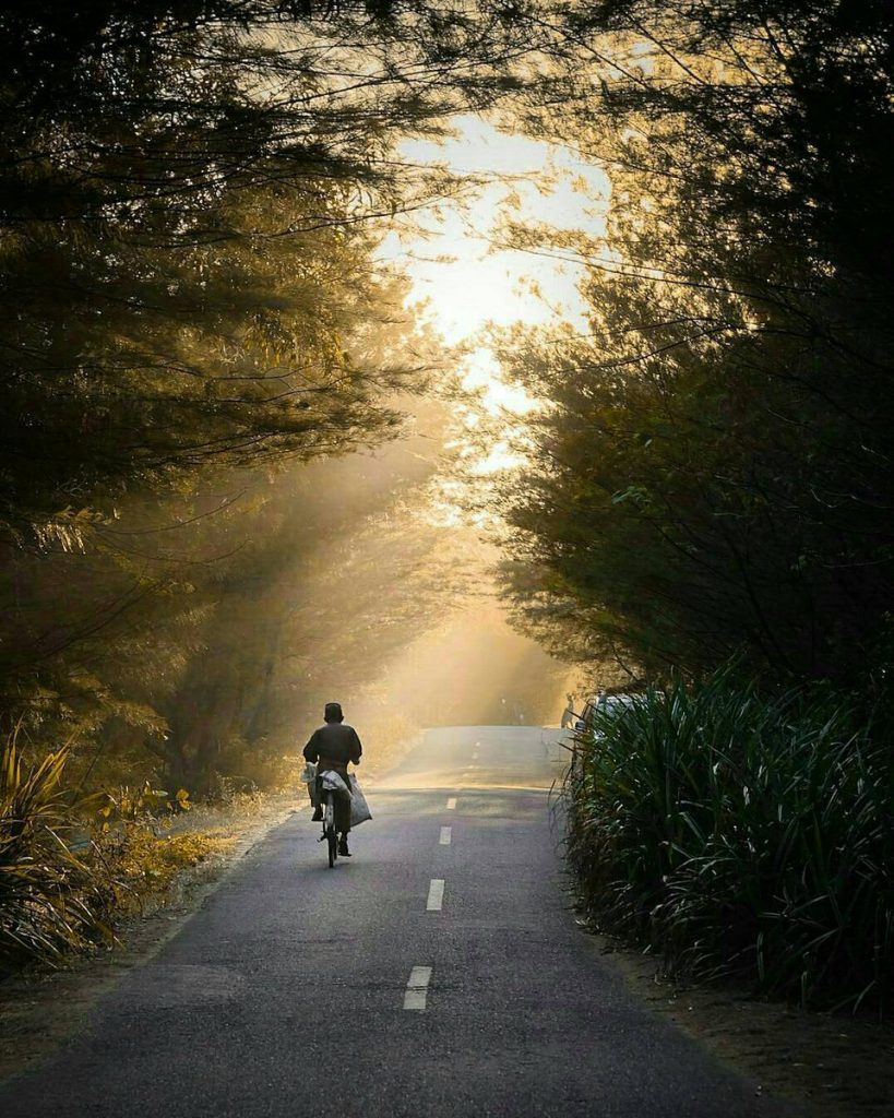 Jalan Hutan Cemara Jadi Alternatif Selfie Wisatawan | LOVE JOGJA AND YOU